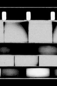 ‎Notes from Light Music (1975) directed by Lis Rhodes • Reviews, film ...