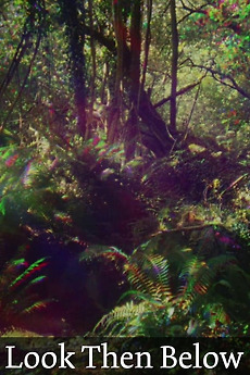 ‎Look Then Below (2019) directed by Ben Rivers • Reviews, film + cast ...