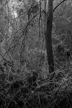 ‎Murmur (2020) directed by Jan Locus • Reviews, film + cast • Letterboxd