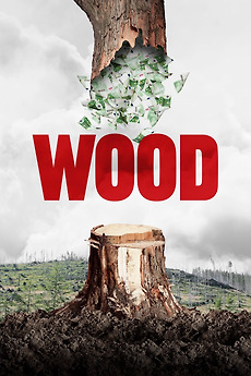‎Wood (2020) directed by Michaela Kirst, Monica Lăzurean-Gorgan et al ...