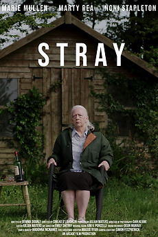 ‎Stray (2019) directed by Sinéad O'Loughlin • Reviews, film + cast ...