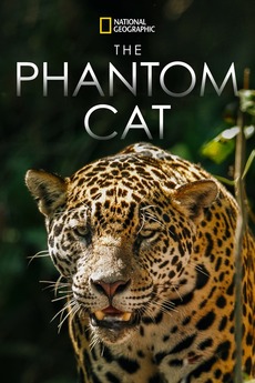 ‎The Phantom Cat: Jaguar (2011) directed by Christian Baumeister ...