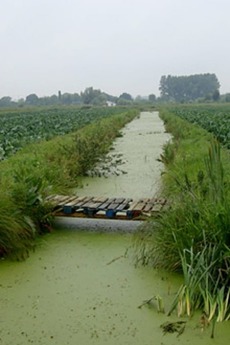 ‎Return to the Brouck: The Fenland, 40 Years On • Film + cast • Letterboxd