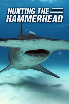 ‎Hunting the Hammerhead (2016) directed by Benjamin Hewett • Film + cast • Letterboxd