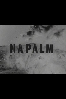 ‎Napalm (1967) directed by Don Lenzer, Trevor Greenwood • Film + cast ...