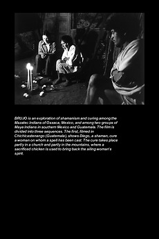 ‎Shaman (1978) directed by Claudine Viallon, Georges Payrastre ...