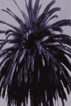 ‎Self-Portrait As A City (1977) directed by Amy Halpern • Reviews, film ...