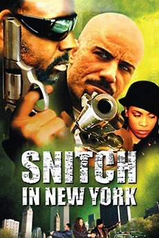 ‎Snitch in New York (2002) directed by Juney Smith • Reviews, film ...