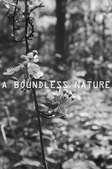 ‎A Boundless Nature (2020) directed by Alif Allende • Reviews, film ...