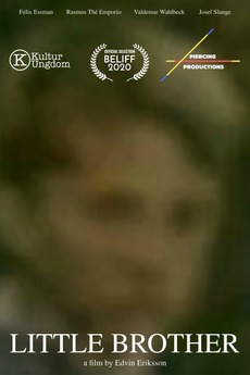 ‎Little Brother (2020) directed by Edvin Eriksson • Reviews, film ...
