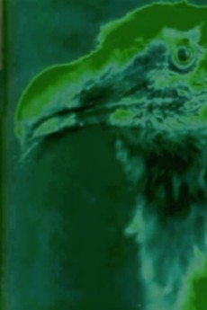 ‎Air Force (2005) directed by Karø Goldt • Film + cast • Letterboxd