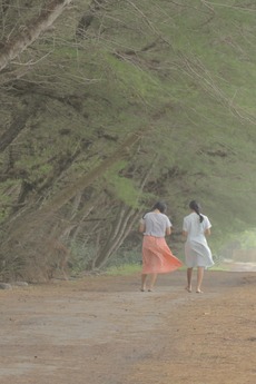 ‎Sowan (2014) directed by Bobby Prasetyo • Reviews, film + cast ...