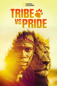 ‎Tribe vs Pride (2017) directed by Dereck Joubert • Film + cast ...