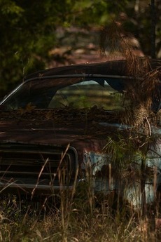 ‎Dry Rot (2020) directed by Samuel Farance • Film + cast • Letterboxd