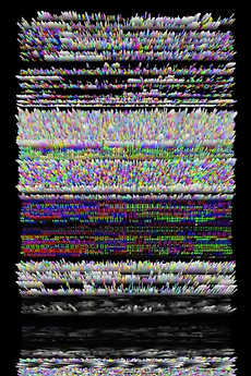 â žpure Data Read As Pure Data 2010 Directed By Nicolas Maigret