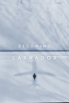 ‎Becoming Labrador (2019) directed by Rohan Fernando, Justin Simms et ...