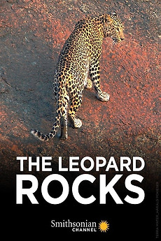 ‎The Leopard Rocks (2018) directed by Harald Pokieser • Reviews, film + cast • Letterboxd