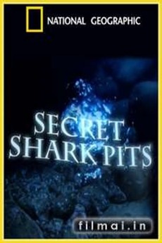 ‎Secret Shark Pits (2009) • Film + cast • Letterboxd