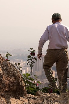 ‎The Leaves (2020) directed by Hamid Jafari • Film + cast • Letterboxd