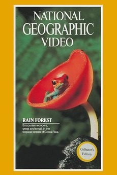 ‎Rain Forest (1983) directed by Carol Hughes, David Hughes • Reviews ...