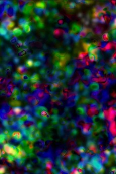 ‎Pattern Cognition (2019) directed by Thorsten Fleisch • Reviews, film ...