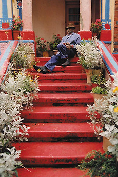 ‎A Portrait of Mr Pink (1997) directed by Helena Appio • Reviews, film ...