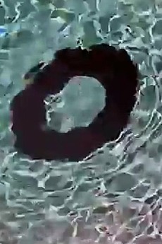 ‎Donut (2006) directed by Gary Oldman • Reviews, film + cast • Letterboxd