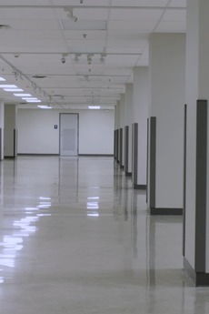 ‎There is Nothing Underneath the West Virginia Wing (2018) directed by ...