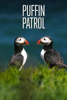 ‎Puffin Patrol (2015) directed by Scott Dobson • Reviews, film + cast ...