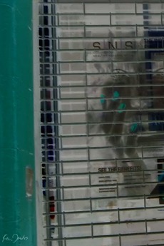 ‎Storefront (2020) directed by Ken Jacobs • Reviews, film + cast ...