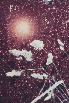 ‎Winter Li (1981) directed by Abbott Meader • Reviews, film + cast ...