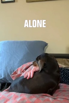 ‎Alone (2020) directed by Caitlin Skinner • Reviews, film + cast ...