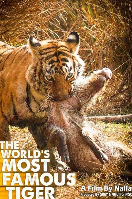 ‎The World's Most Famous Tiger (2017) directed by Subbiah Nallamuthu ...