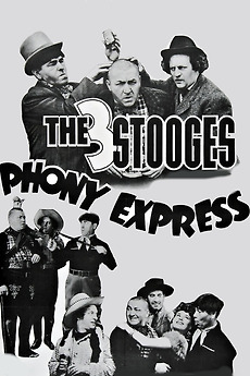 shirley patterson three stooges