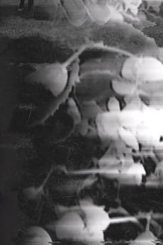 ‎Six Variations on the Same Theme: Third Variation (2020) directed by ...