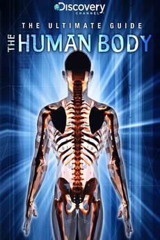 ‎Ultimate Guide: The Human Body • Film + cast • Letterboxd
