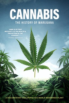 ‎Cannabis (2020) • Reviews, film + cast • Letterboxd