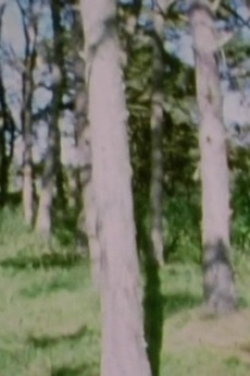‎Aeterna melancholia (2013) directed by Manuele Cecconello • Film ...