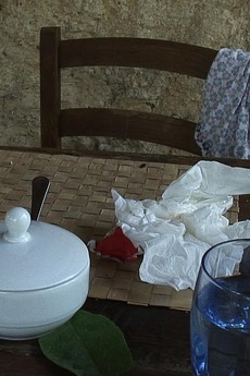 ‎Roman Diary (2011) directed by Michael Pilz • Film + cast • Letterboxd