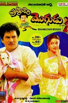 ‎Brahmachari Mogudu (1994) directed by Narasimha Rao Relangi • Reviews ...