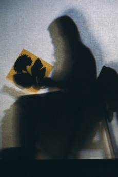 ‎Lourdes Castro Shadows directed by Manuel Pires • Film + cast • Letterboxd