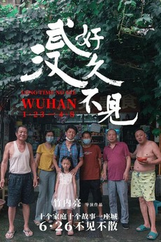 ‎Long Time No See Wuhan (2020) directed by Takeuchi Ryo • Reviews, film ...