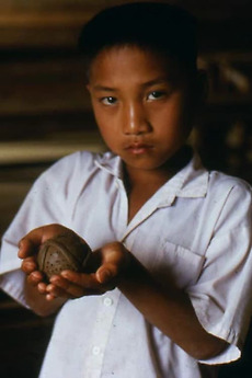 ‎Bombies (2001) • Reviews, film + cast • Letterboxd