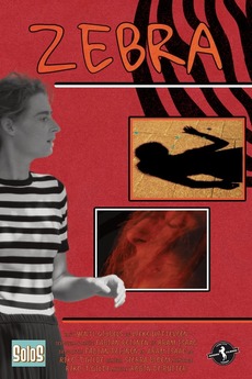 ‎Zebra (2020) directed by Aram Isaac, Fabian Reijnen • Reviews, film ...