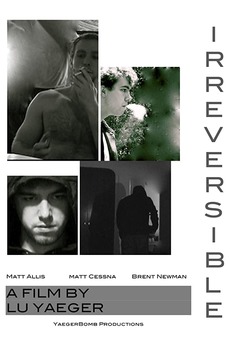irreversible poster
