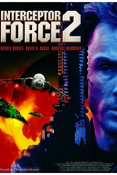 ‎Interceptor Force 2 (2002) directed by Phillip J. Roth • Reviews, film ...