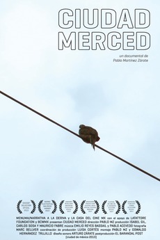 ‎Ciudad Merced (2013) directed by Pablo Martínez-Zárate • Reviews, film ...