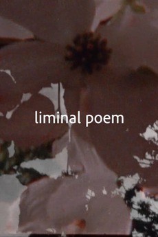 ‎liminal poem (2020) directed by Susan DeLeo • Film + cast • Letterboxd