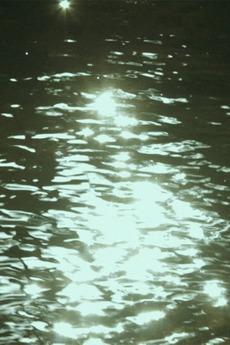 ‎La casa y lo telúrico (2020) directed by Carlos Mielgo • Film + cast ...