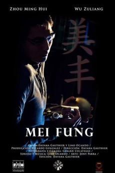 ‎Mei Fung (2013) directed by Dayana Gauthier • Reviews, film + cast ...